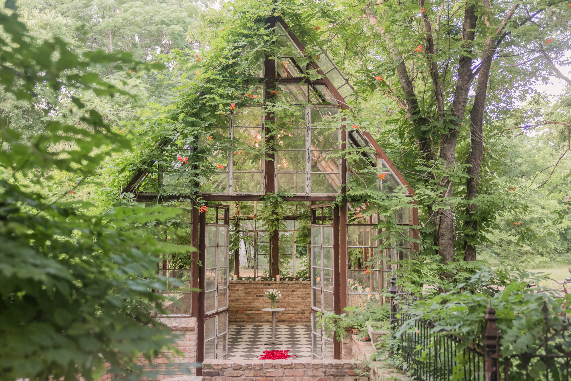 Sekrit Theater Greenhouse Proposal | Evan & Katie - www.laurengarrisonphotography.com