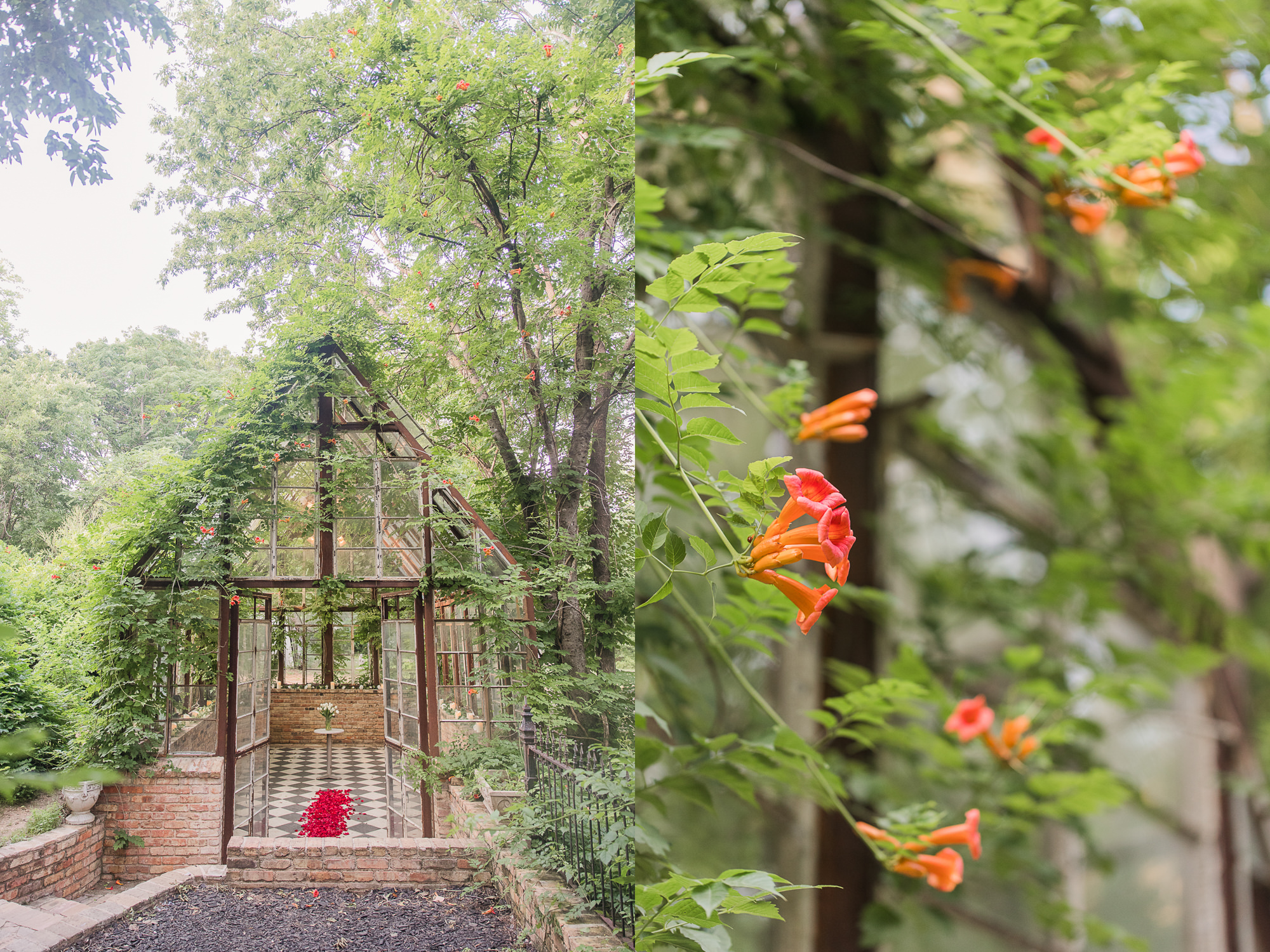 Sekrit Theater Greenhouse Proposal | Evan & Katie - www.laurengarrisonphotography.com