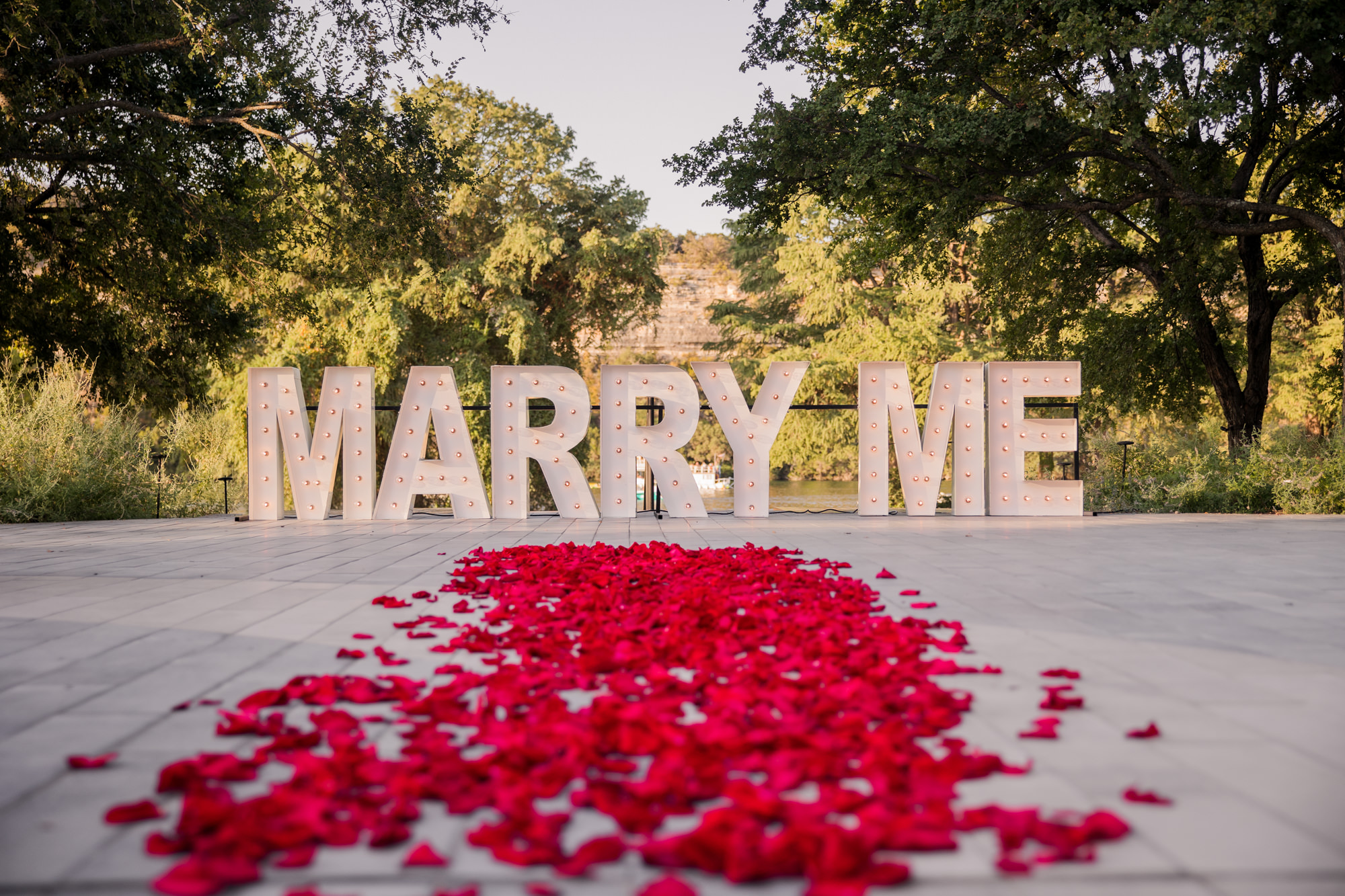 Romantic Proposal with Large Marry Me Sign | Ross & Holly - www ...